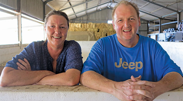 Alpaca farming in South Africa | Farmer's Weekly SA