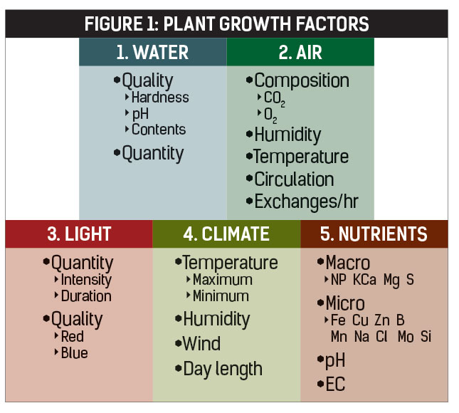 Hydroponics: know your plants’ growth requirements