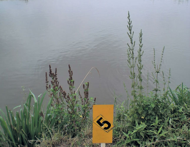 Small-scale fish farming