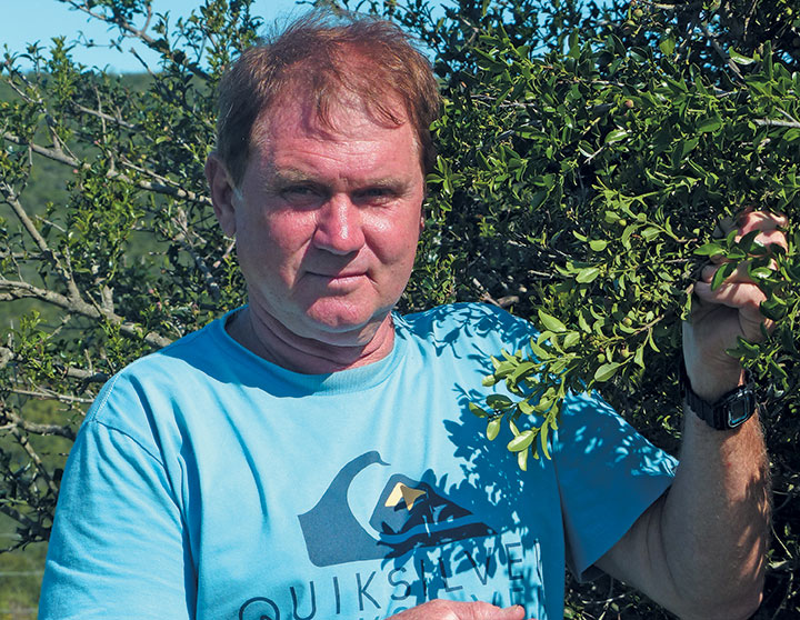 Eastern Cape bee farmer’s commercial success