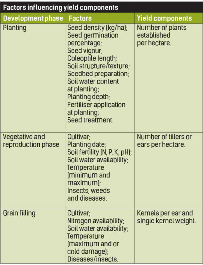 Determining wheat yield