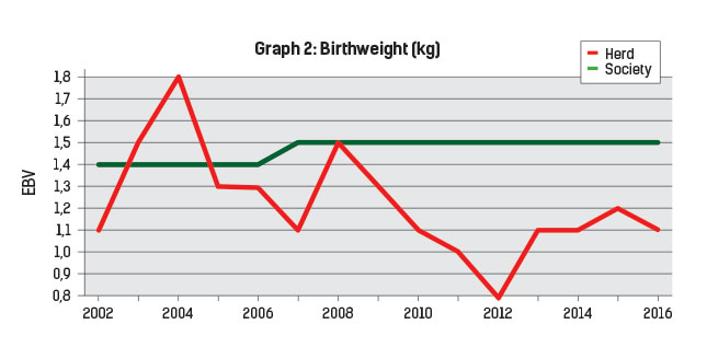 Scientific selection in beef cattle breeding