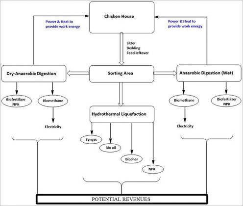 Poultry litter to biogas: adding more value to farm waste