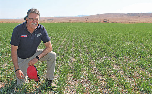 Irrigated wheat: Conservation farming improves water usage and yield