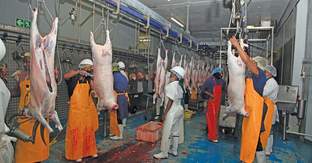 Family-owned abattoir on a quest to achieve zero waste