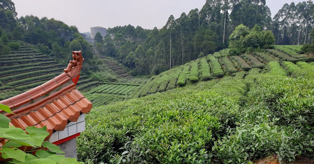 China retaliates on ‘unfair farm subsidy’ allegations