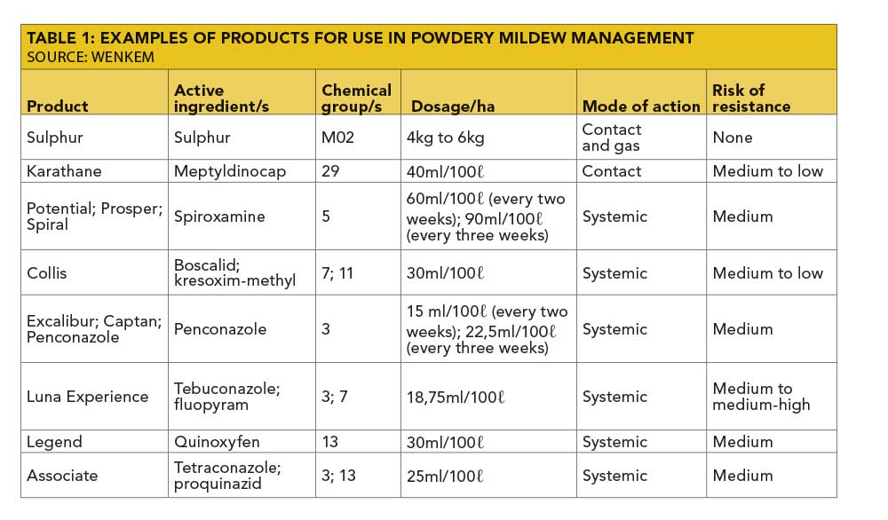 How to control powdery mildew in vineyards