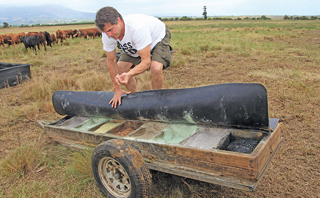Using livestock for healthier soil