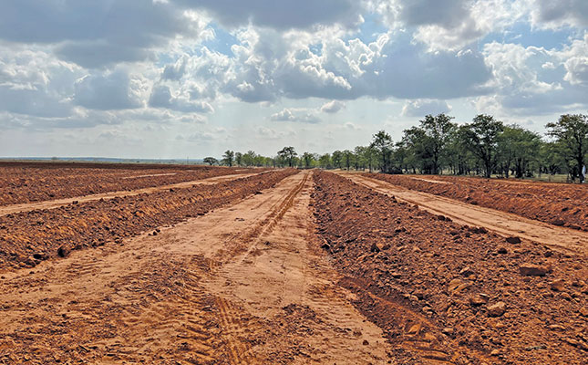 Citrus: a long-term vision for traditional communities