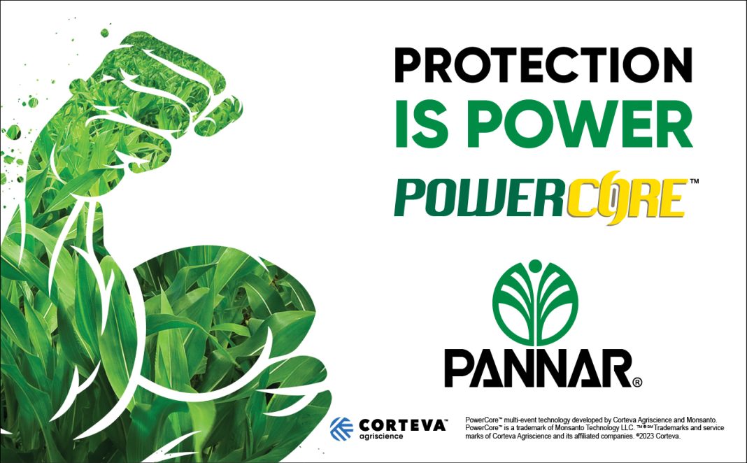 Transform maize production with Pannar's PowerCore™ technology