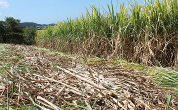 Tongaat Hulett business rescue plan approved