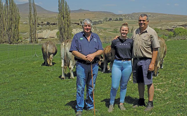 South African Braunvieh set for global beef market success