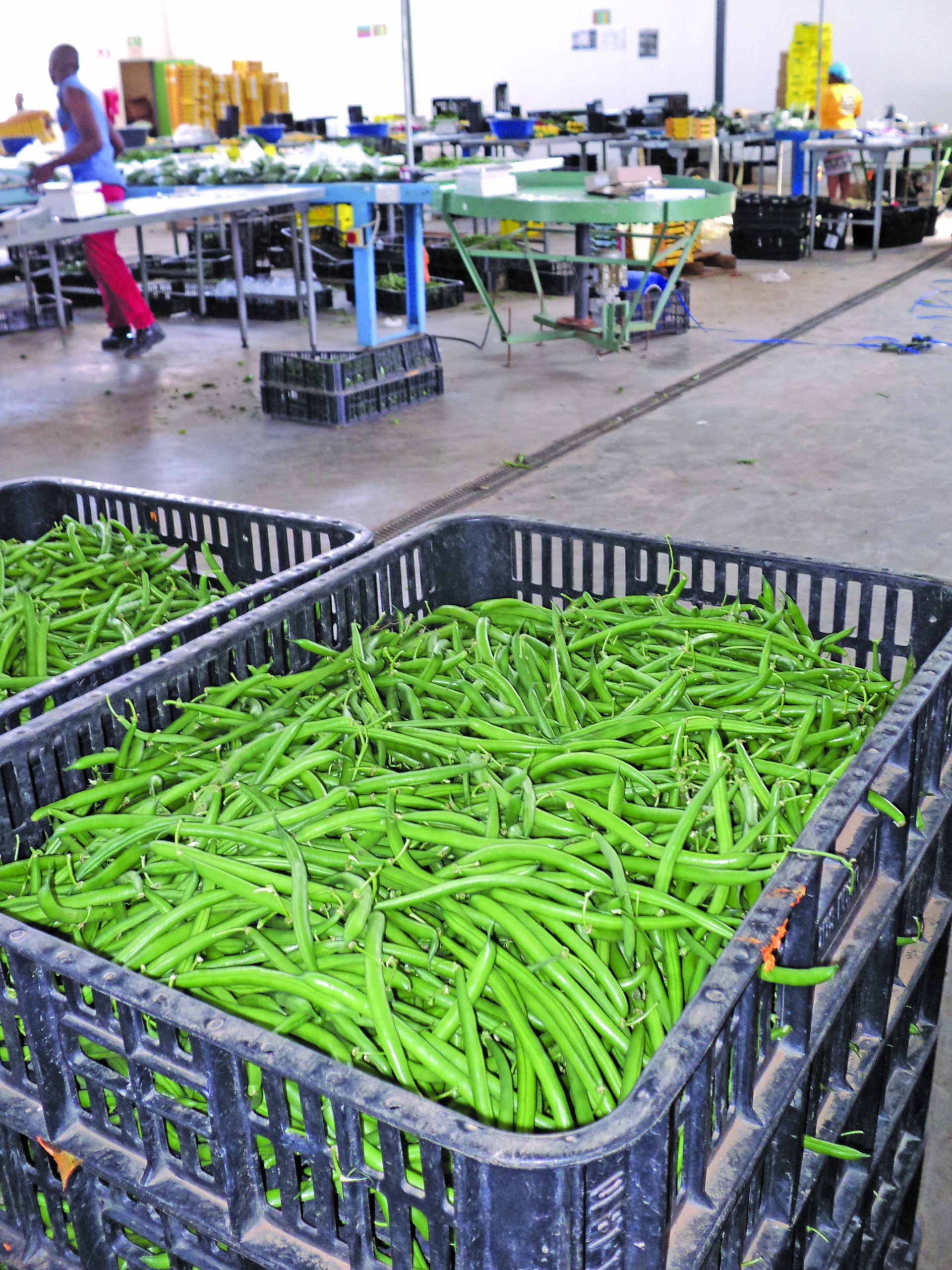 The real reason fresh produce transformation has stalled