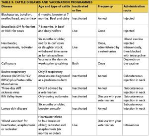 How and when to dip, deworm and vaccinate your cattle