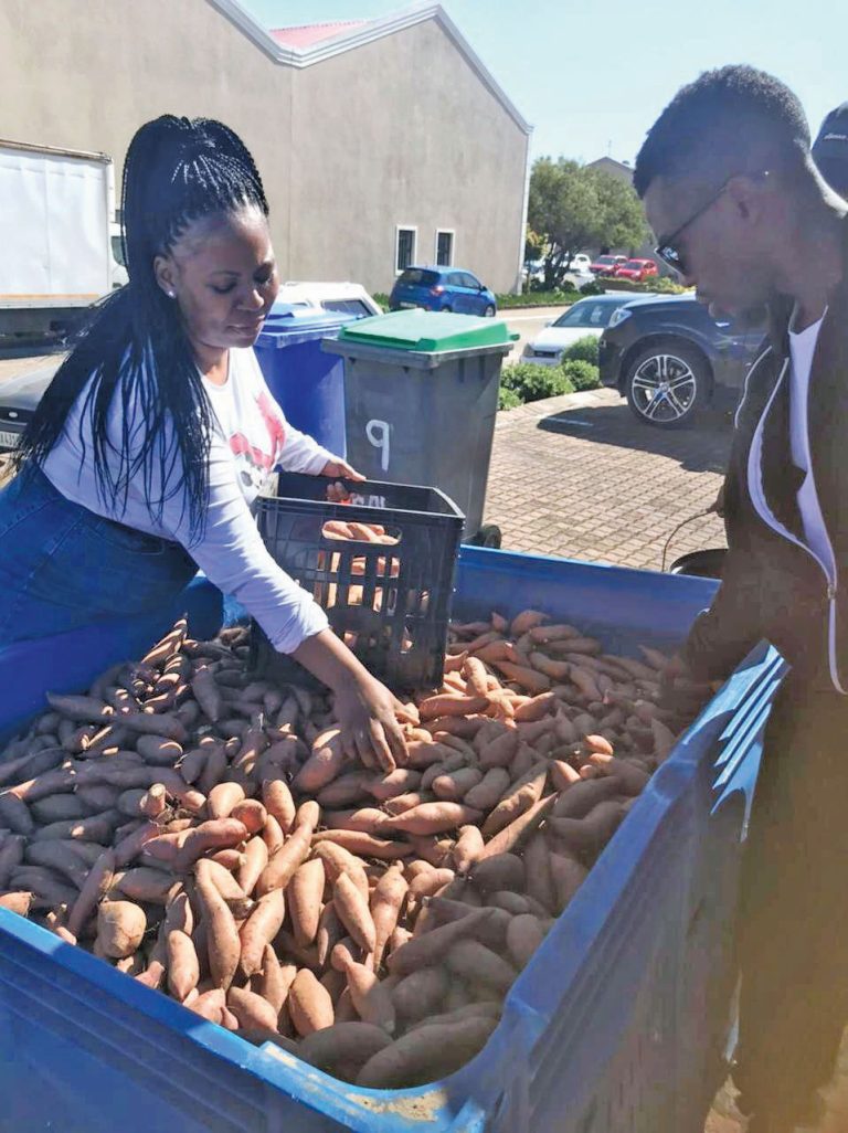 Fighting hunger, one meal at a time: the story of SA Harvest’s impact
