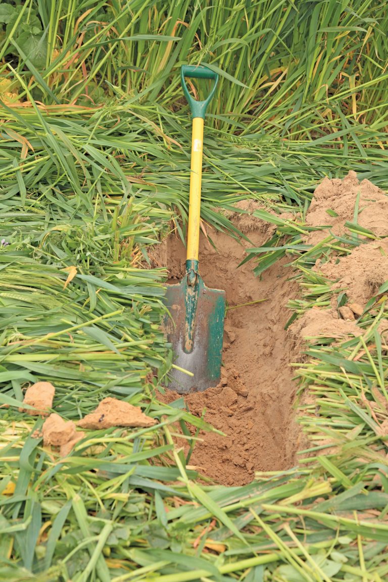 Soil health 101: a guide to sustainable production