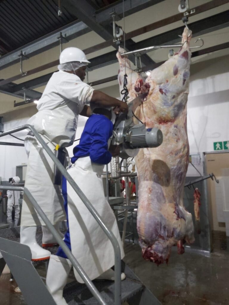 An inside look at South Africa’s meat safety standards