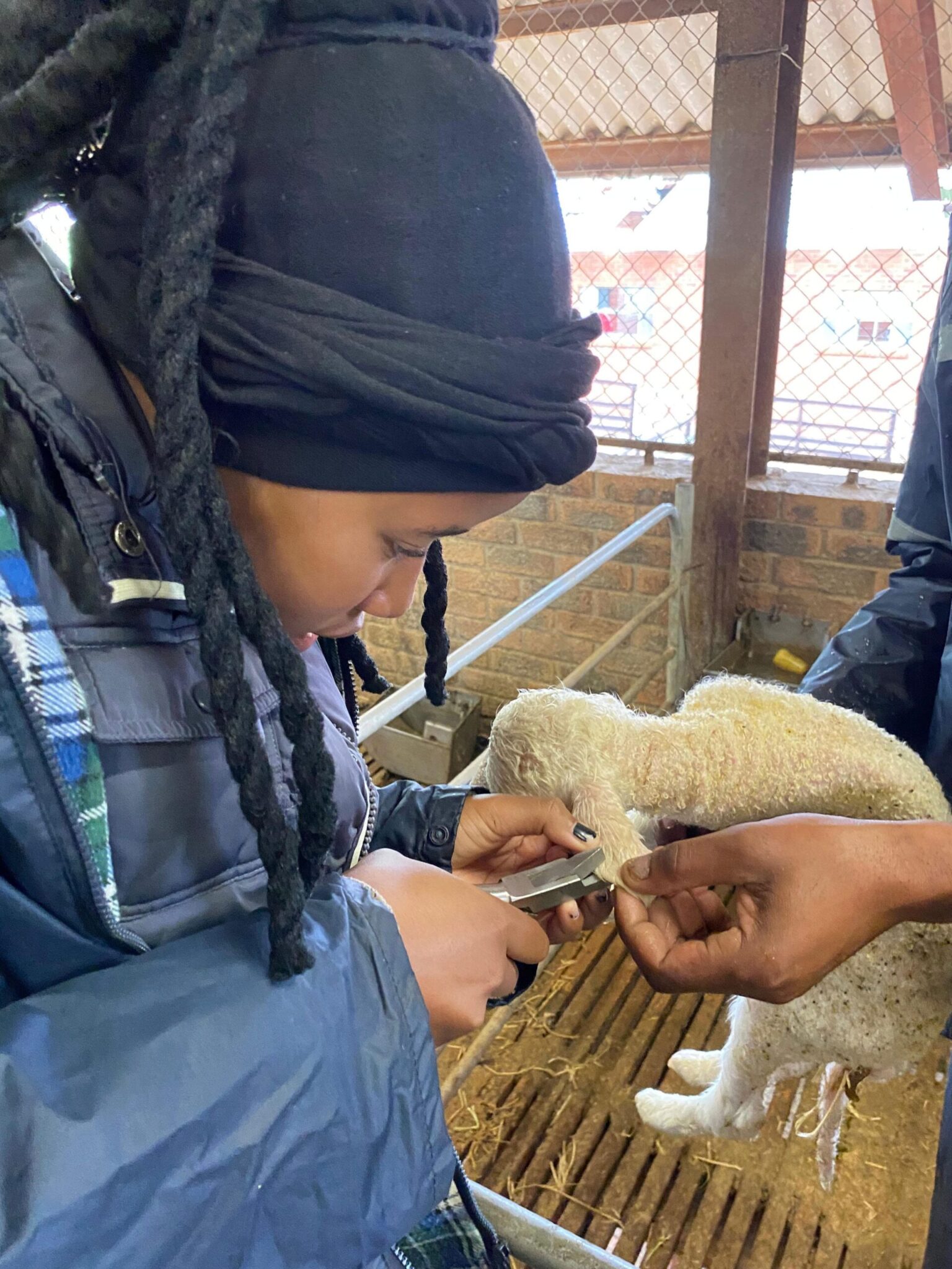 Elsenburg: The training ground of South African agriculture