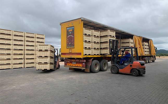 Tomatoes anchor trade, but logistics and prices remain under pressure