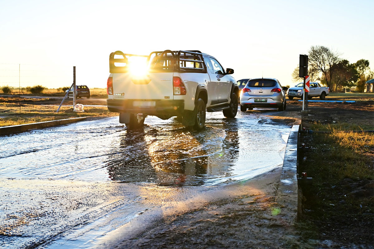 Nampo 2026 welcomed 81 822 visitors over four days