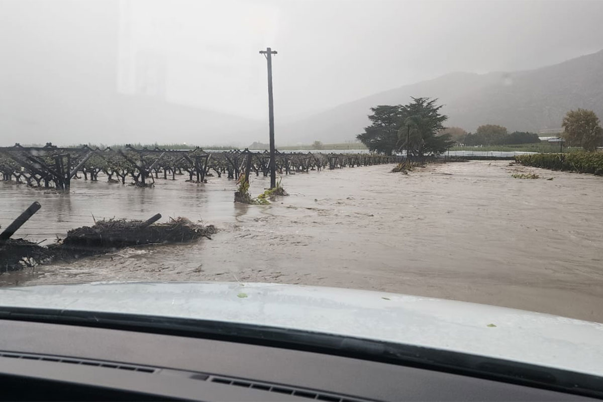 Severe cold front leads to flooding and damage on Western Cape farms