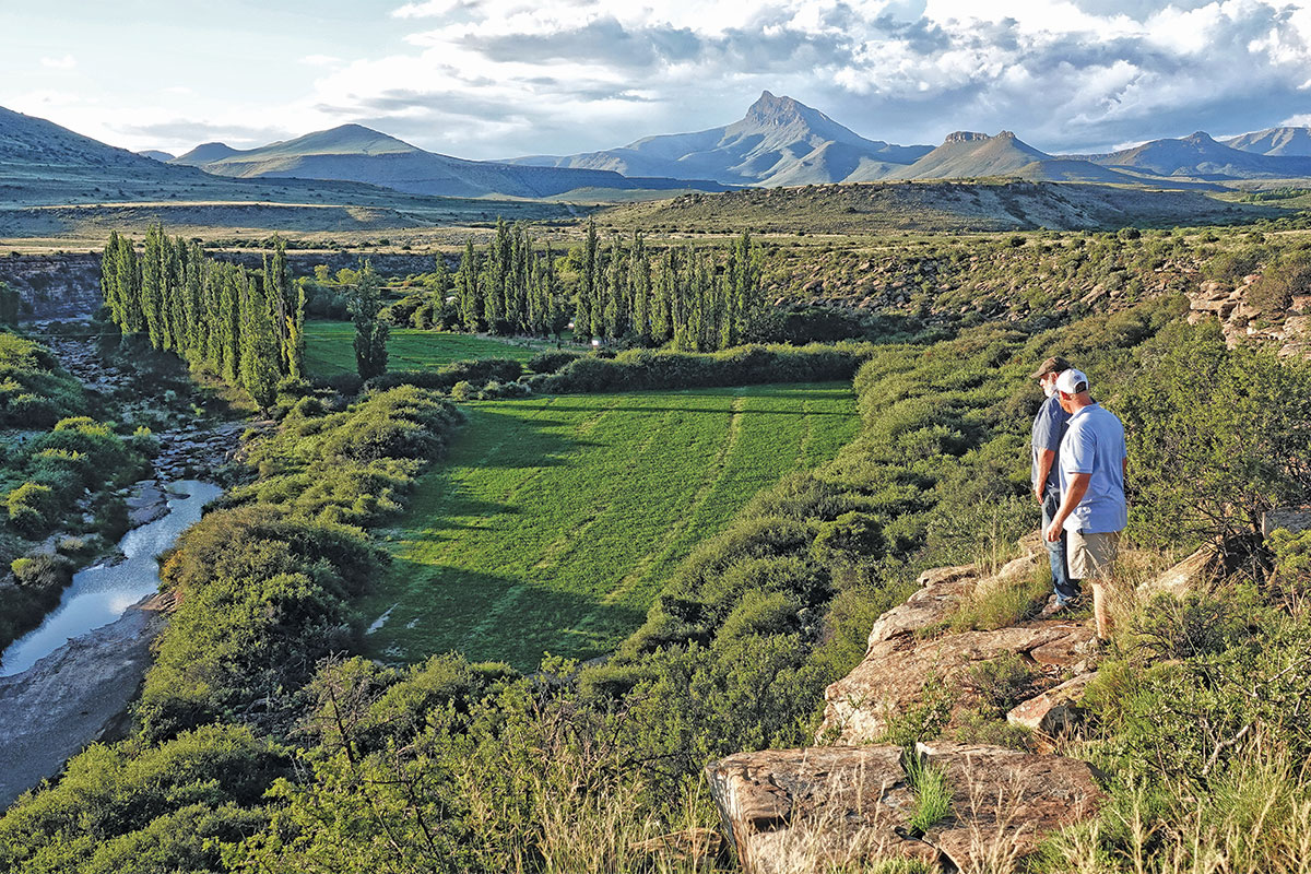 The fossil farm deep in the Karoo