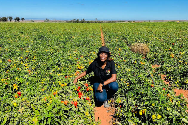 Strengthening Africa’s fresh produce supply chains