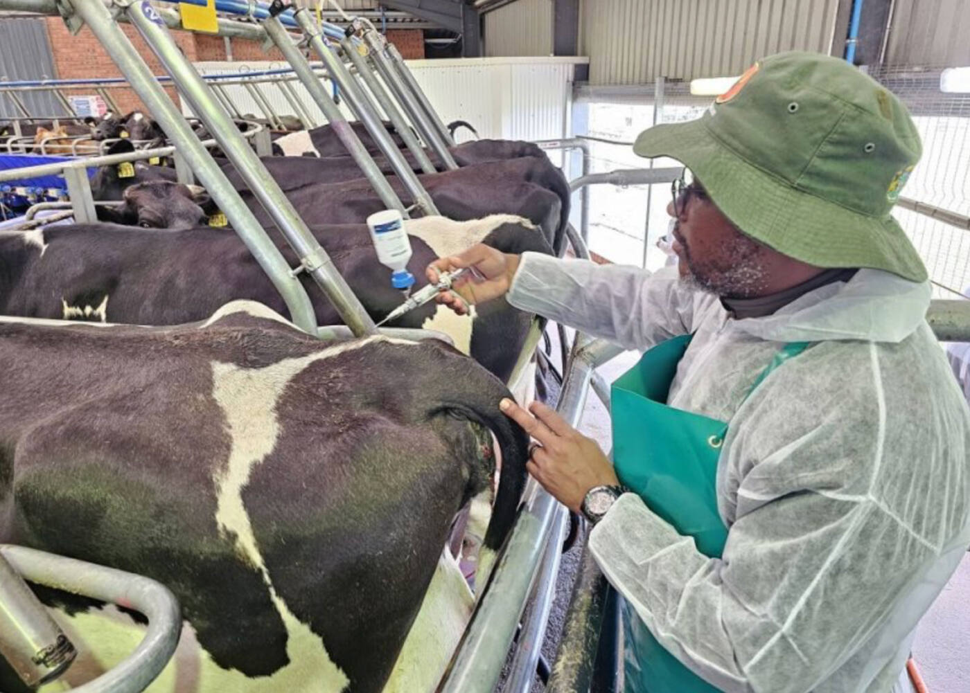 FMD vaccine rollout under pressure as Parliament flags concerns
