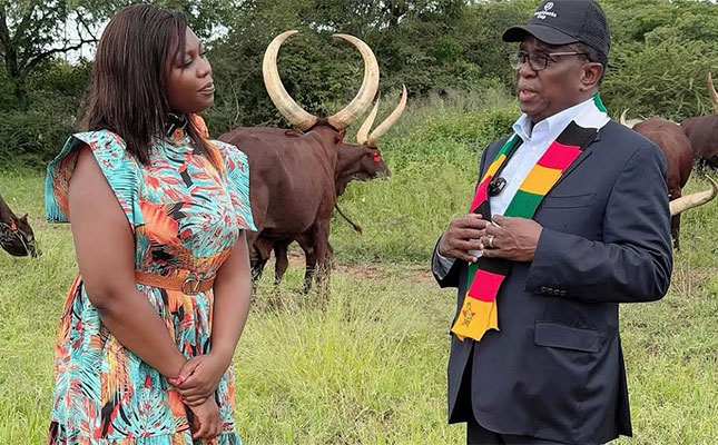 Adapting Ankole cattle to Zimbabwe’s harsh conditions
