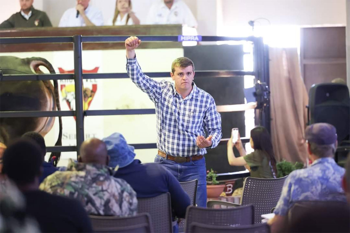 Bridging science, breeding, and the auction ring in modern livestock ...
