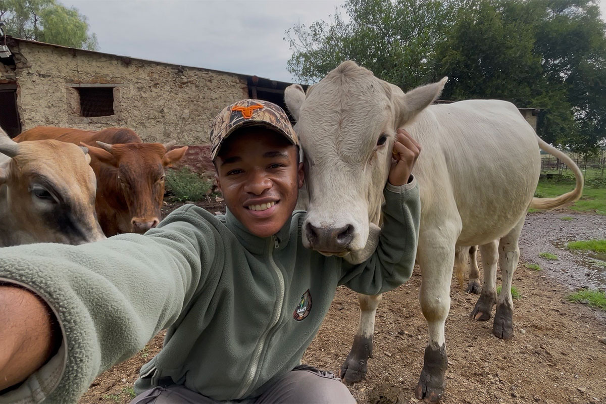 From curiosity to a passion for livestock farming